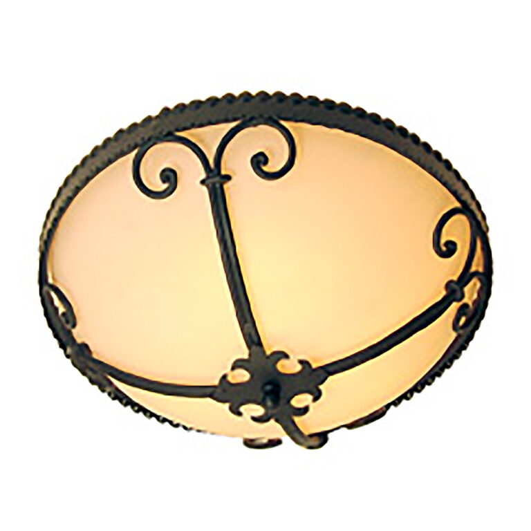 Wrought Iron Ceiling Mount Light | Elegant Home Lighting
